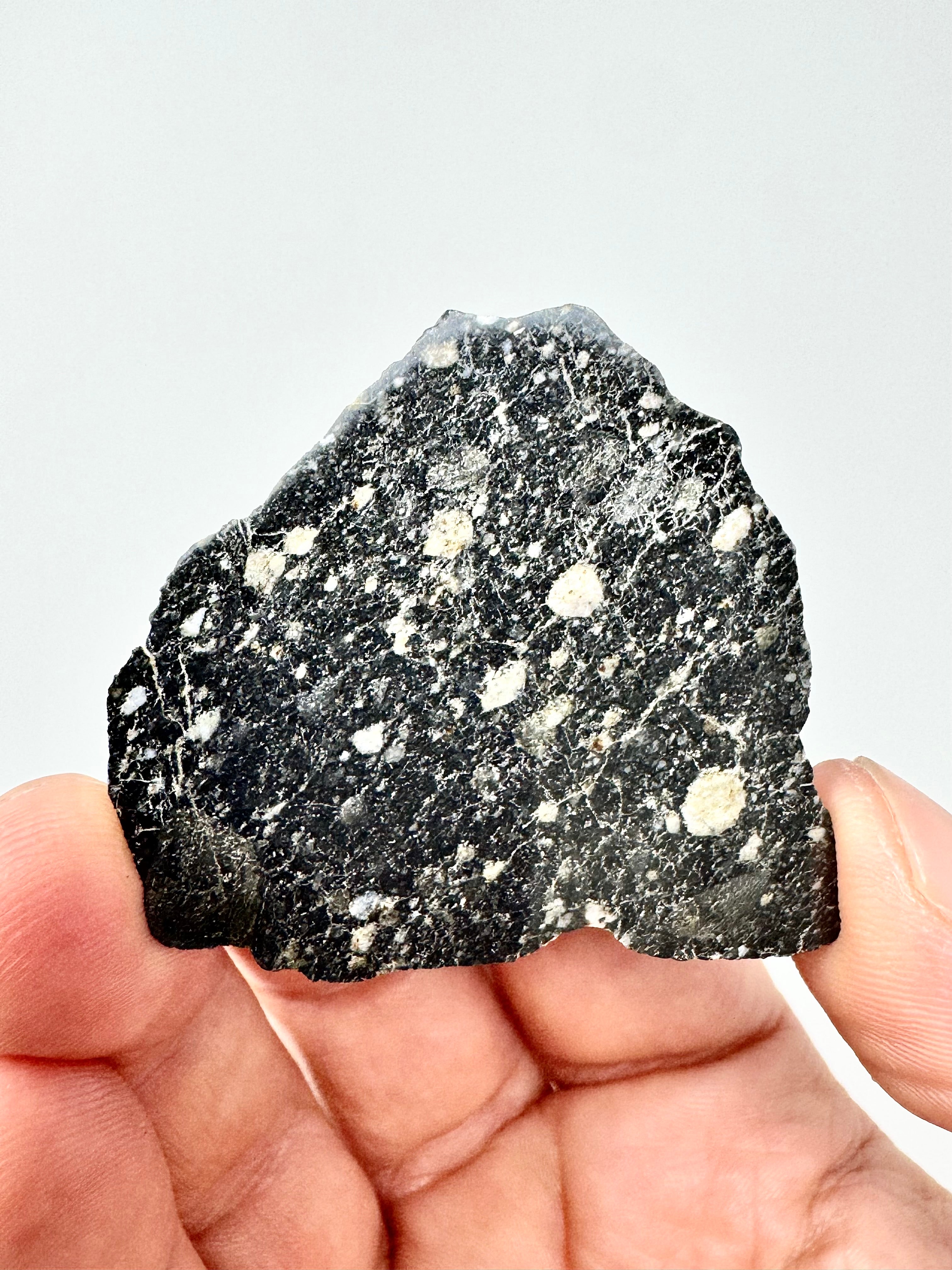 NEW! 7.2g Newly Discovered Lunar Breccia - FULL SLICE - A Genuine Piec ...