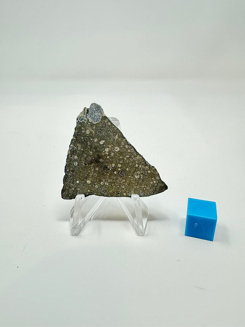 CV3 Carbonaceous Chondrite Meteorite w/ HUGE CAI! 8.8g – The ...