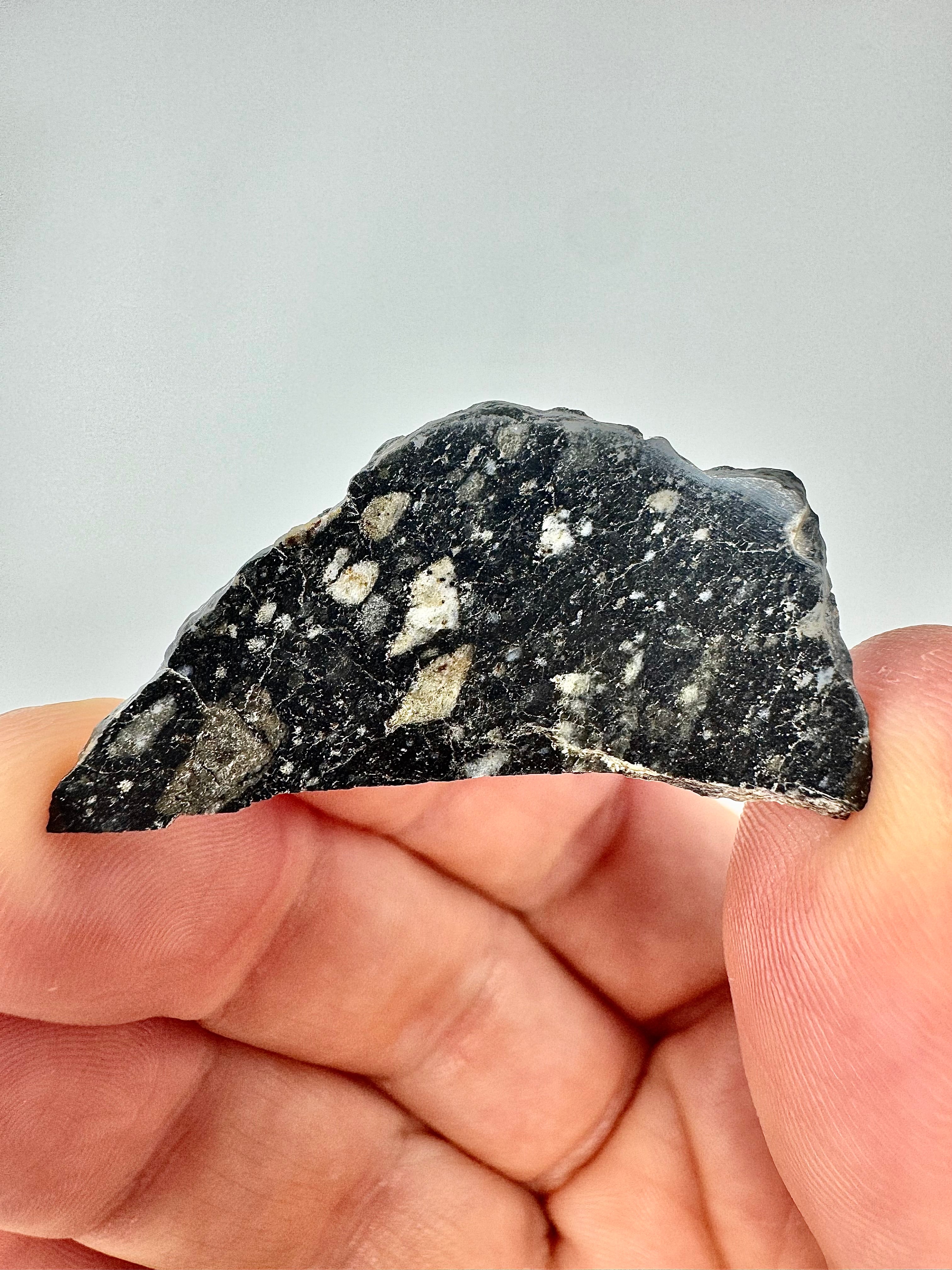 NEW! 3.1g Newly Discovered Lunar Breccia - A Genuine Piece Of Our Moon ...