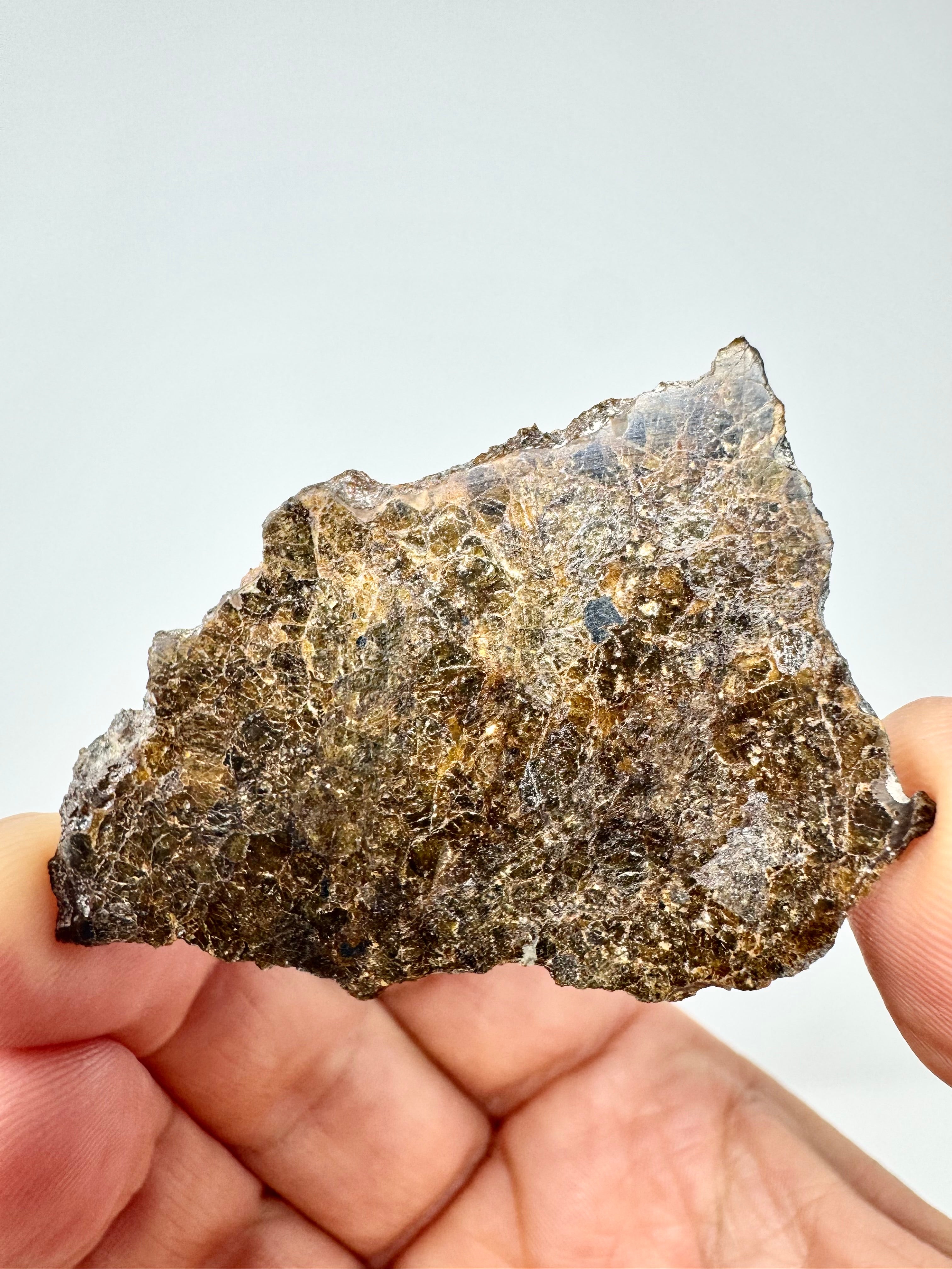 6.2g NWA 16317 Translucent Diogenite Meteorite - Parent Body: Asteroid ...
